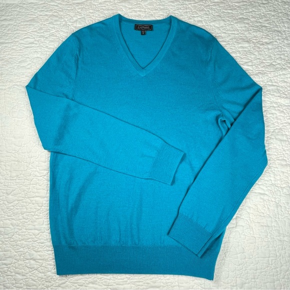 Express | Sweaters | Express Merino Wool 0 Vneckline Long Sleeve Blue ...